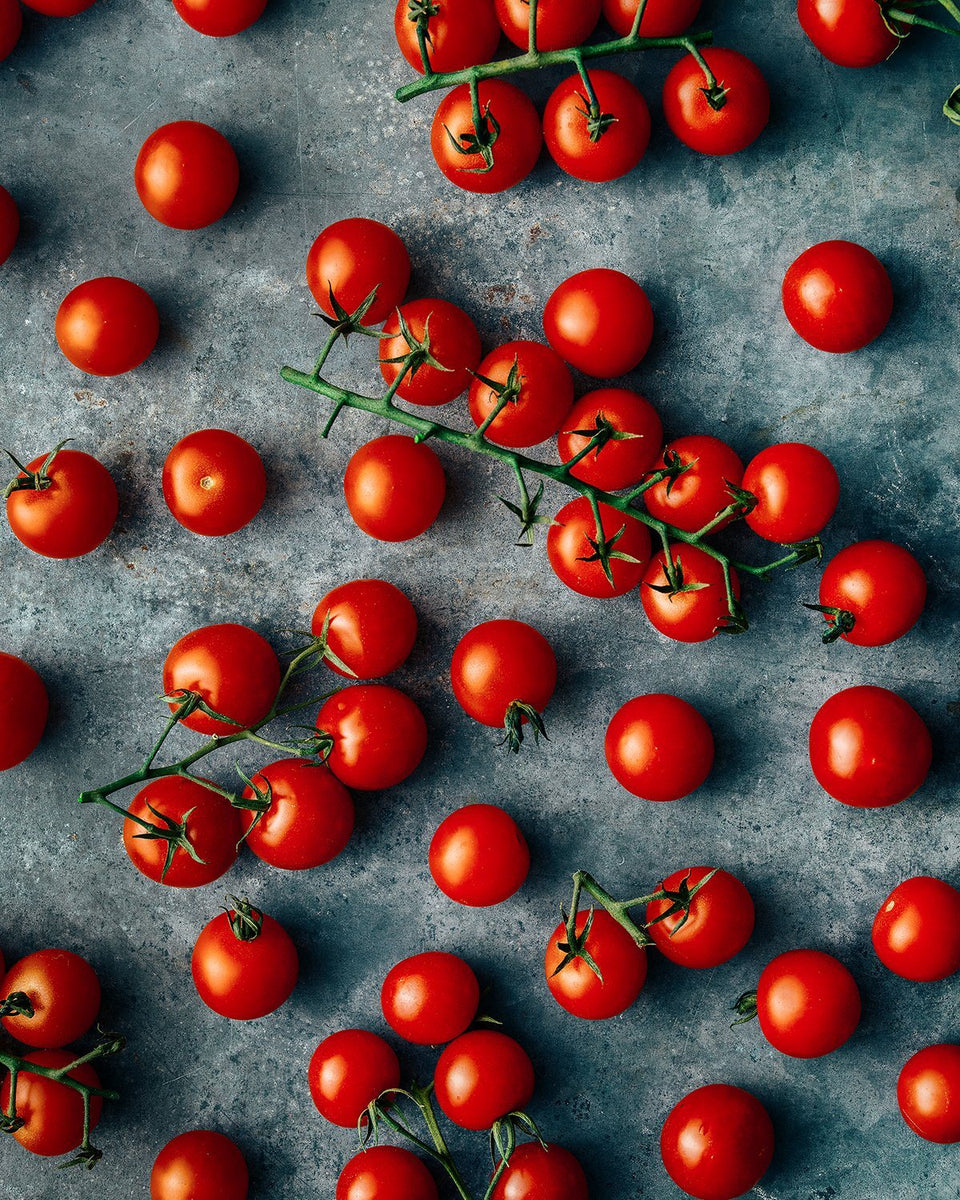 Cherry Tomato Seedlings 3-Pack | Planted Growing